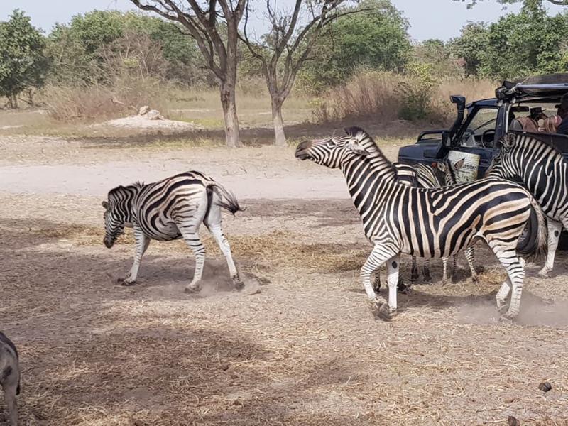Fathala Park | Travel Eco - Inspiring Destinations