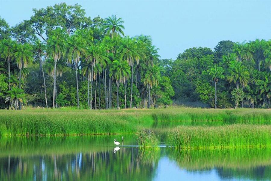 Expedition Senegal | Travel Eco - Inspiring Destinations