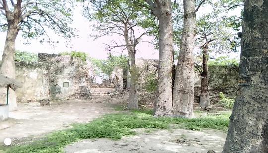 Roots / Kunta -Kinteh Island | Travel Eco - Inspiring Destinations